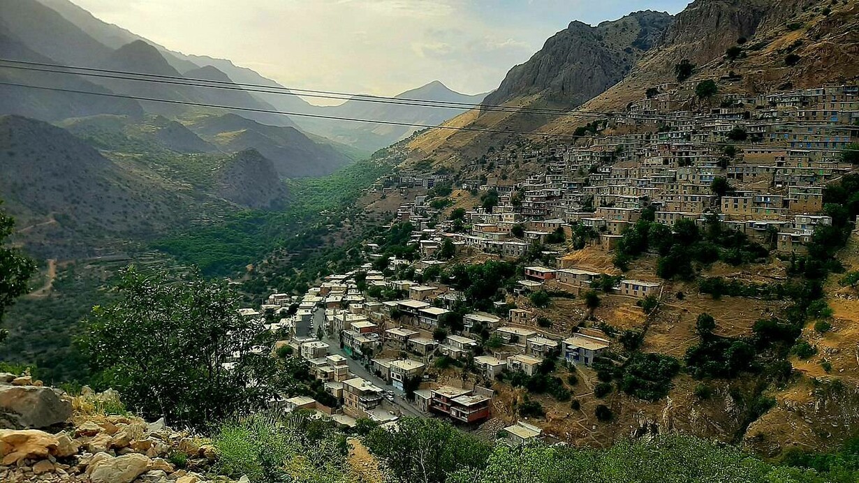 The flower of transformation blooms in Kurdistan – Iraqi Civil Society ...